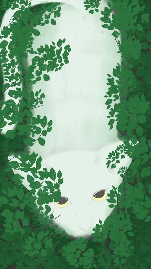 Jasa Video Animasi 2D Explainer | Studio Animasi Bandung | Profesional ...